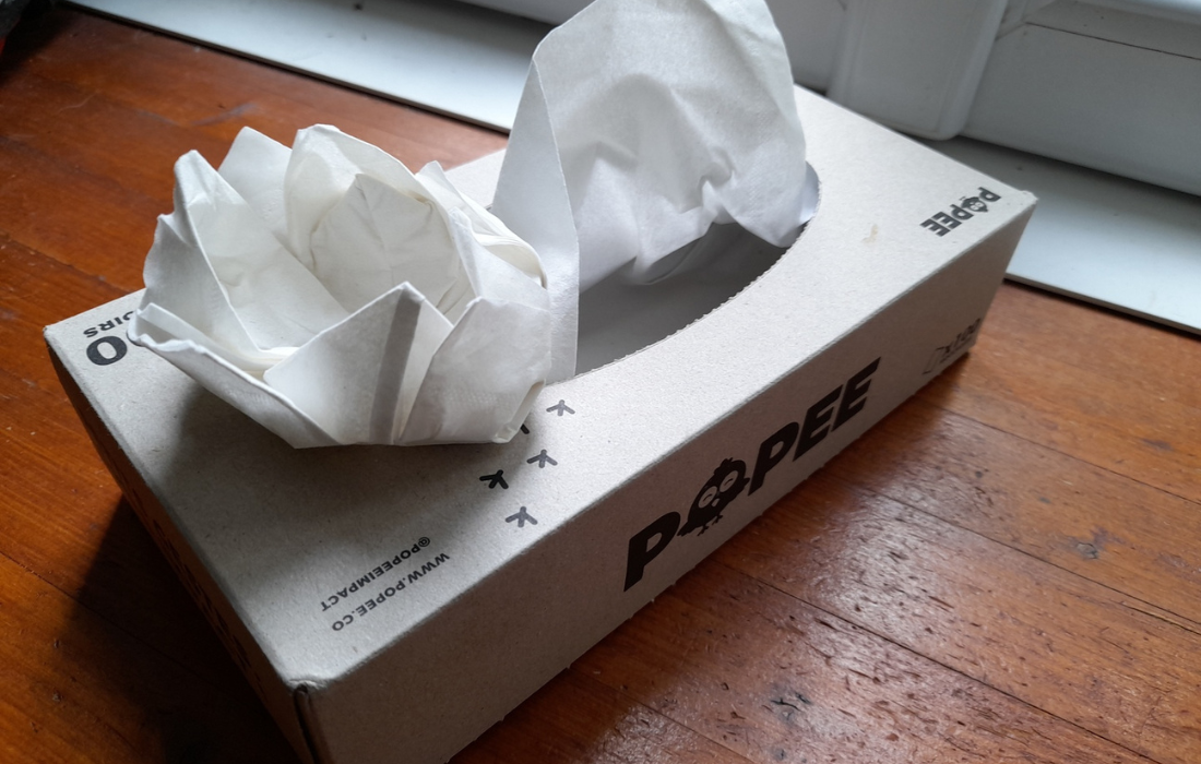 Mouchoirs en papier : comment créer des fleurs en papier mouchoir pour ...